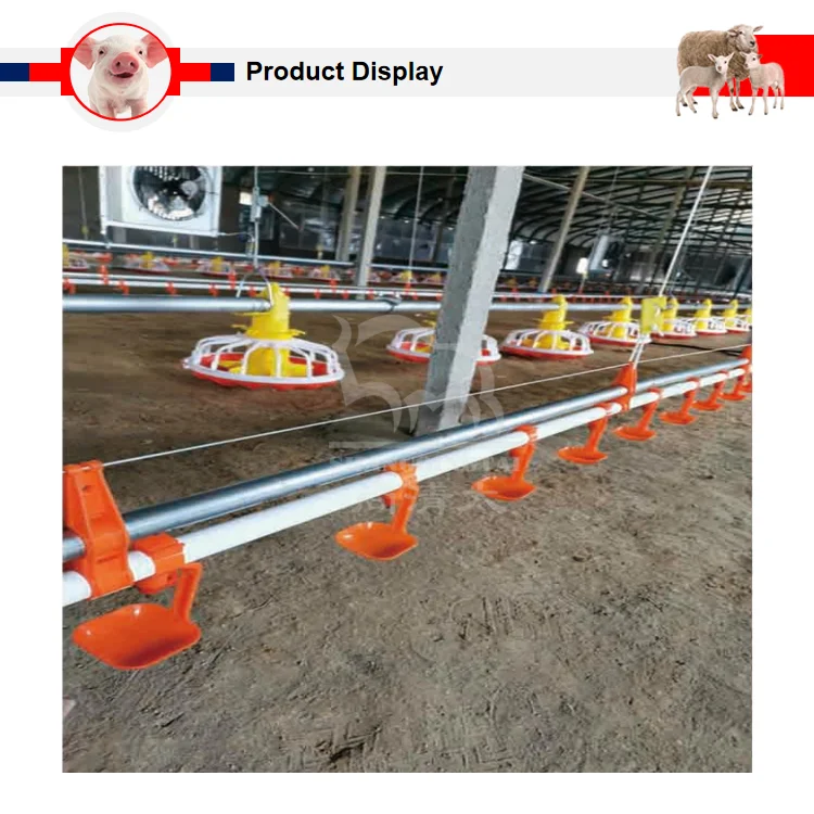 Automatic Drinking Water System for Poultry Complete Poultry Project ...