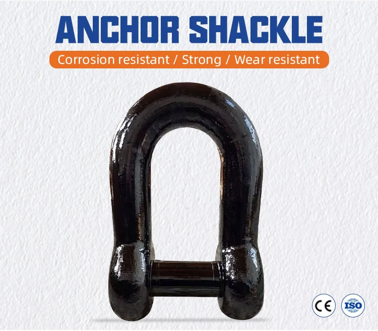 D Type Connecting Anchor End Shackle for Vessels & Ships
