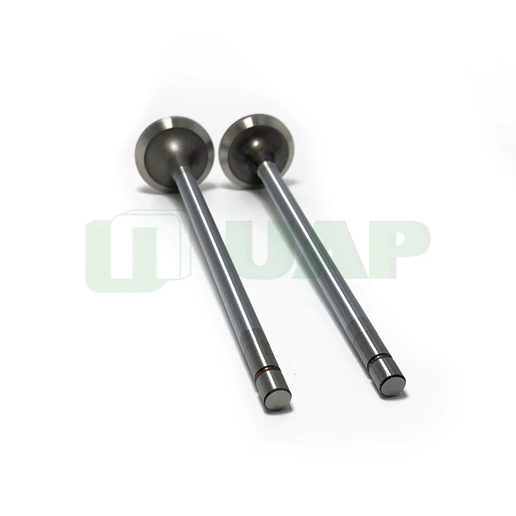 M11 Diesel Engine Intake Valve 3418020 4955239 And Exhaust Valve ...