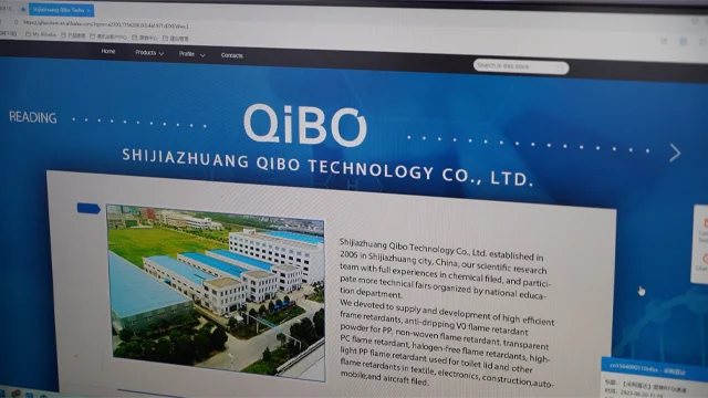 Company Overview - Shijiazhuang Qibo Technology Co., Ltd.
