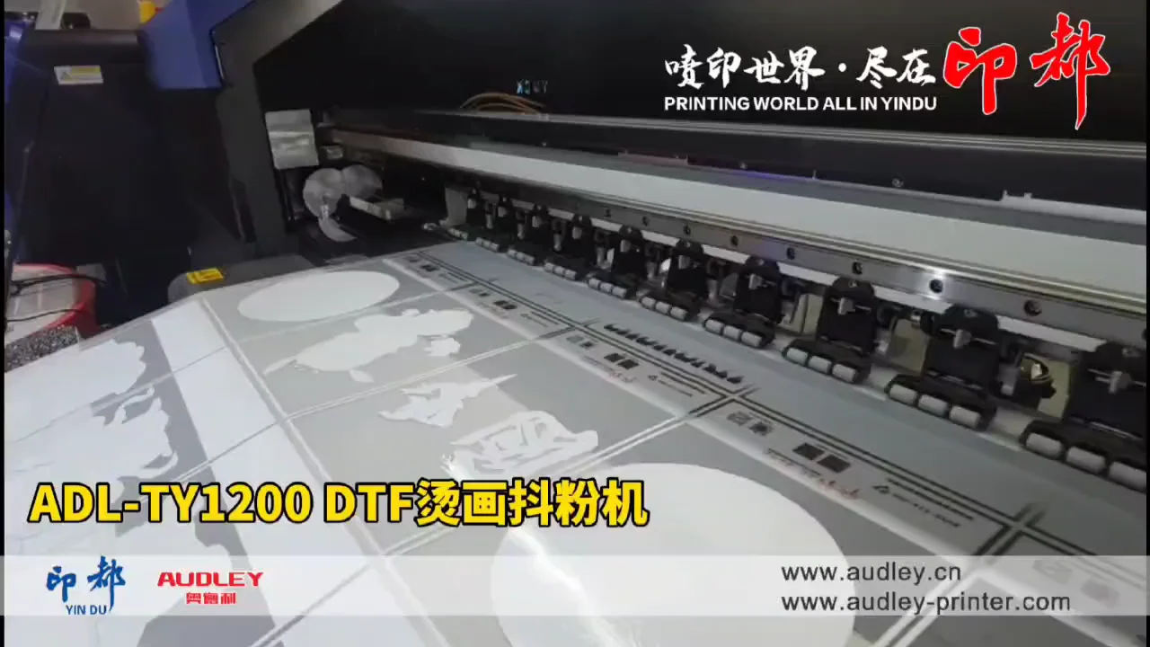 Mycolor 1.2m Dtf Printer With Print Dimension New Condition Pigment Ink ...