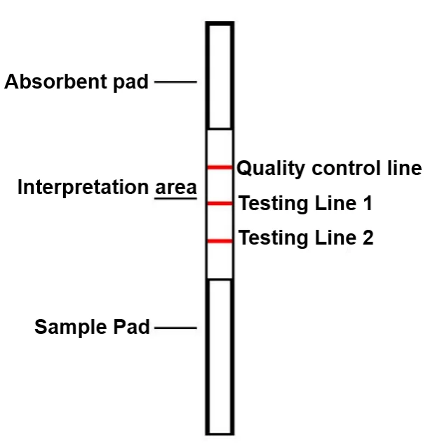 Tinzyme PCRD Lateral Flow Strips| Alibaba.com