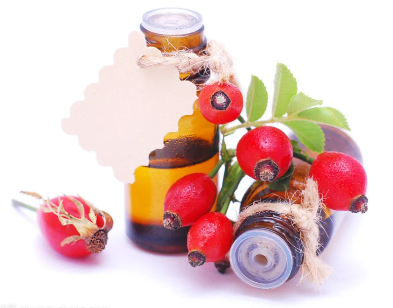 Wholesale Organic Rosehip Seed Oil - Pure Essential Oil
