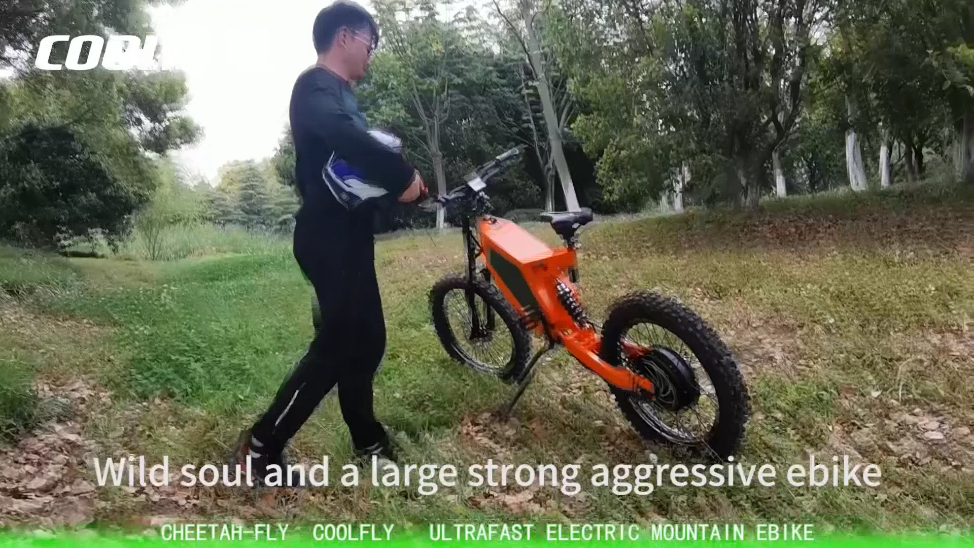 Advantage Price 3000w 5000w 8000w 10000w Stealth Bomber Electric Bike 48v 72v Enduro Ebike With ...