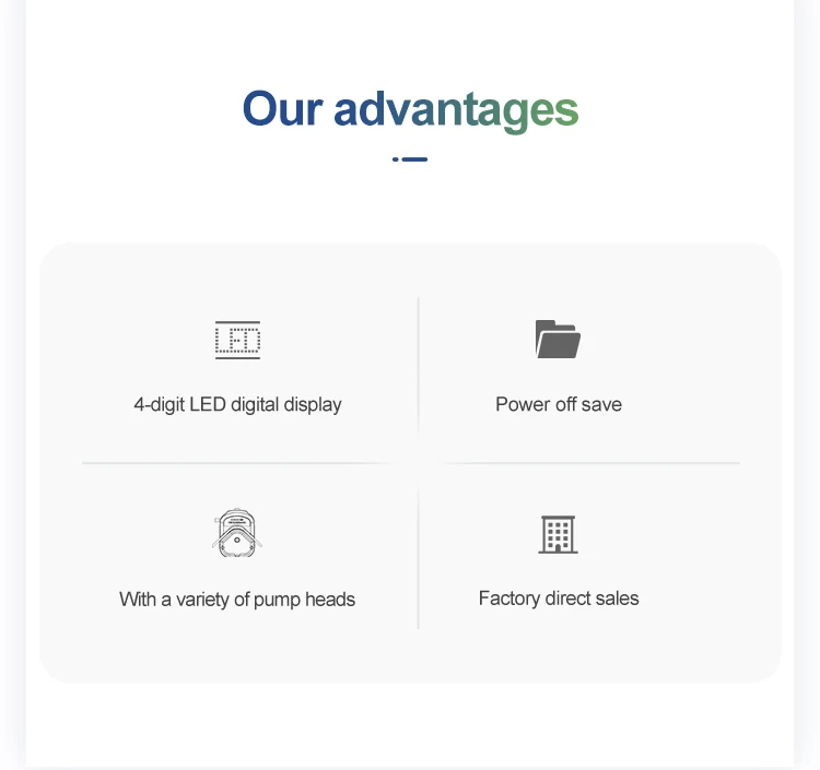 CHONRY BG600FJ-S Peristaltic Pump - High Flow & Custom Support