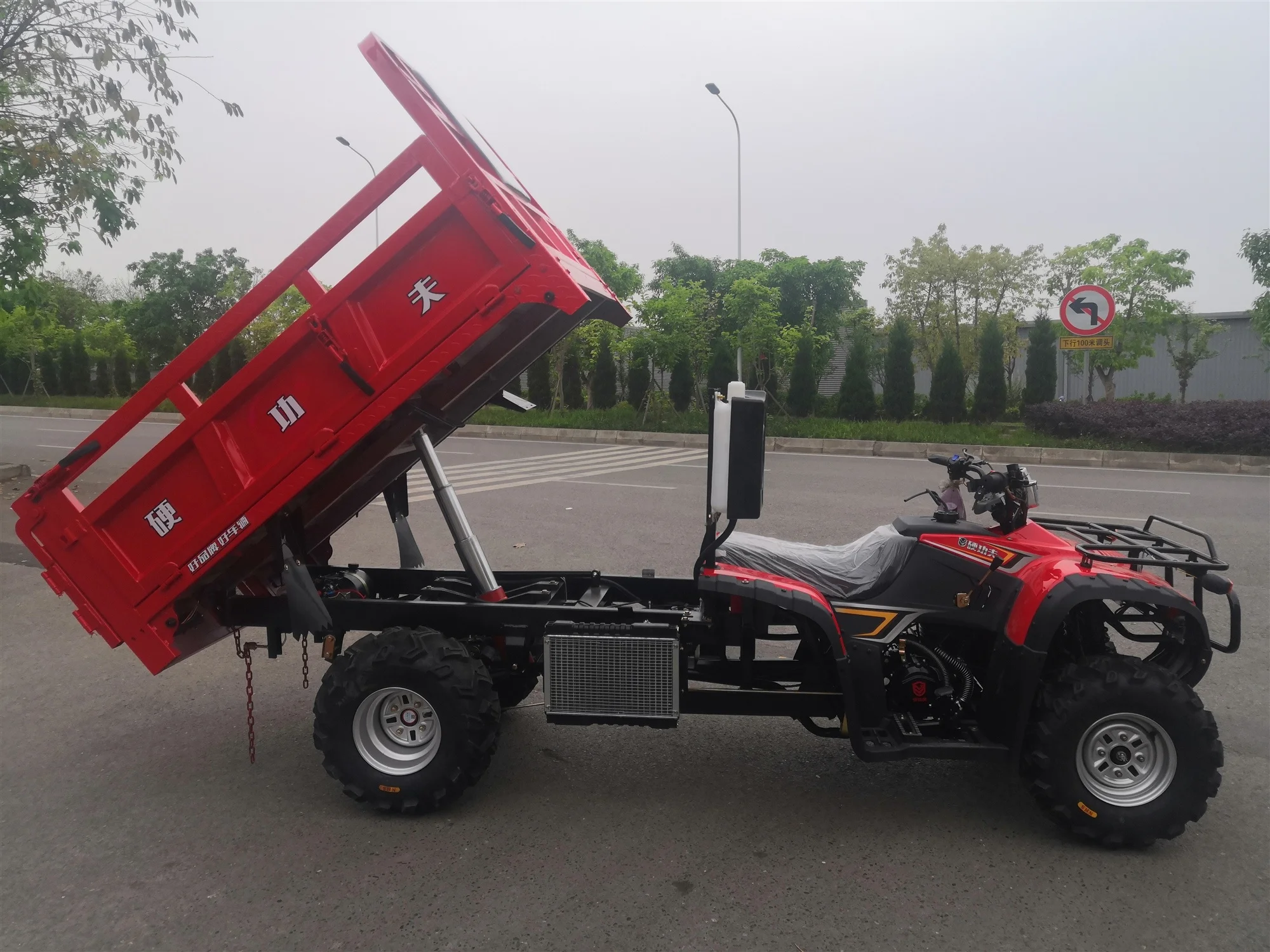Tipper ATV Tricycle - 150cc to 300cc Cargo & Recreational Vehicle