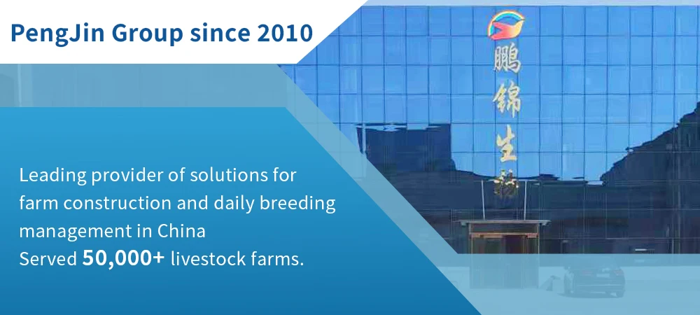 Standard Skin-Colored Horse Nose Strips for Pet Care Veterinary ...