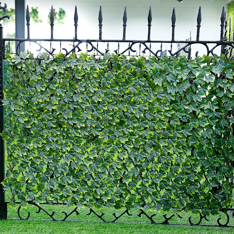 Ivy Chain Link Fence