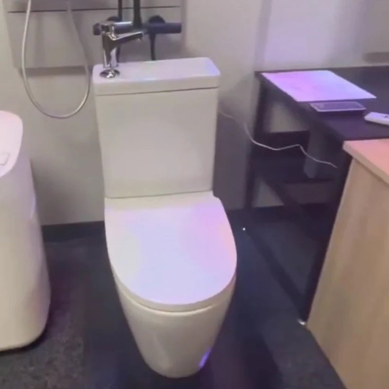 Portable Toilet Tap Into Wc Hand Bidet In Toilet Water Closet Basin In ...