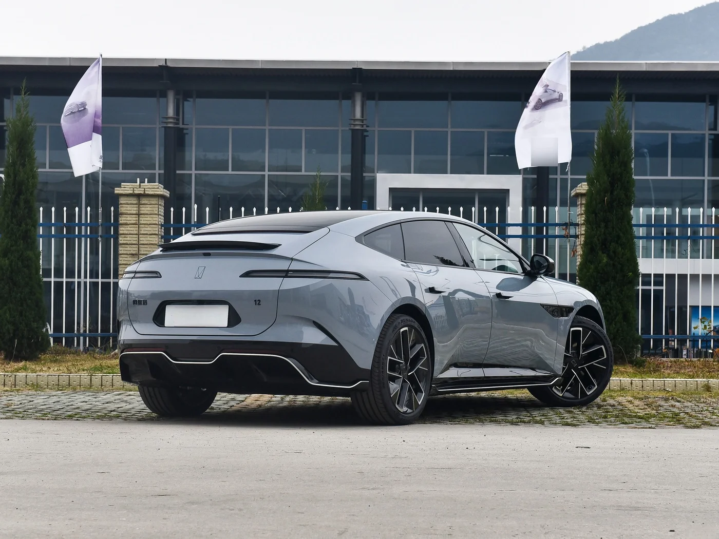 Coche Electrico Avatar 12 Single Motor Dual Motor 4 Door 5 Seat ...