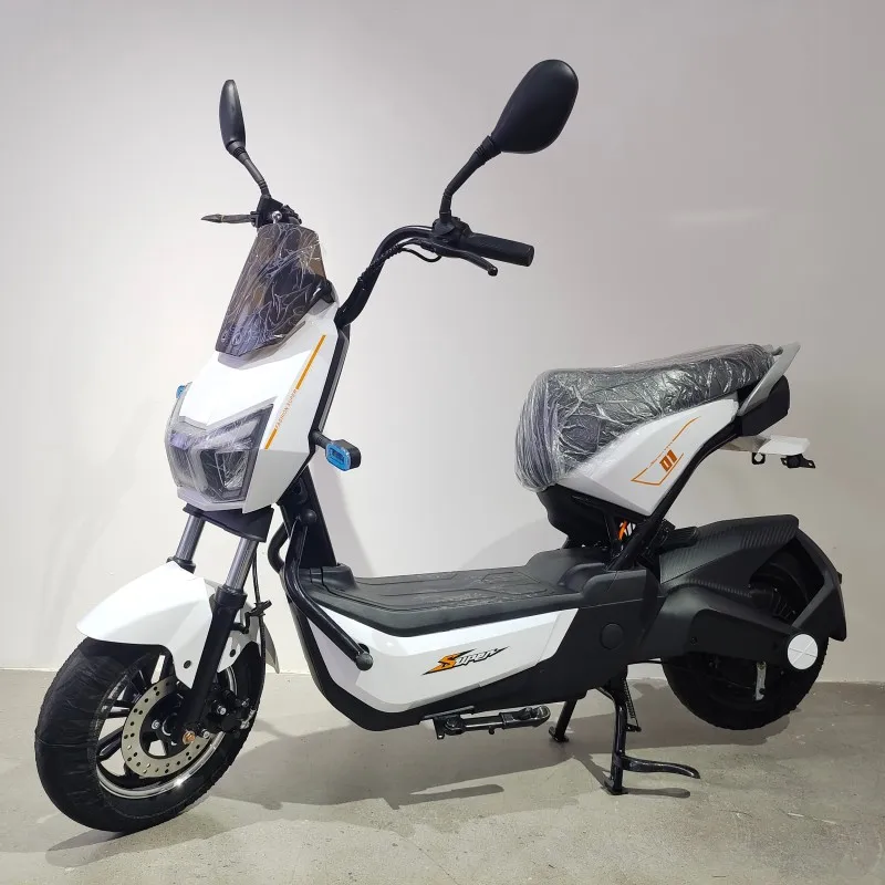 1000W Electric Bike - Smart City Ride with Lead-Acid Battery