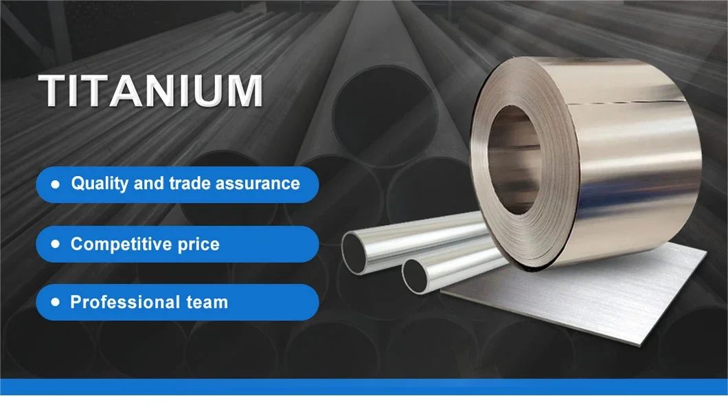 Grade 1 Ta1 Titanium Electrode Plate For Salt Chalorinator Gr2 Gr1 Heat ...