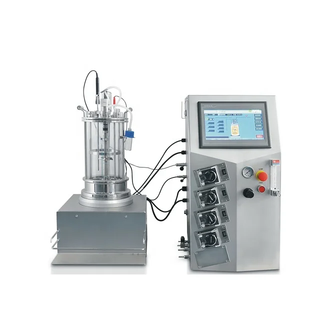 Desktop Glass Bioreactor Glass Fermentor Bioreactor Fermenter ...