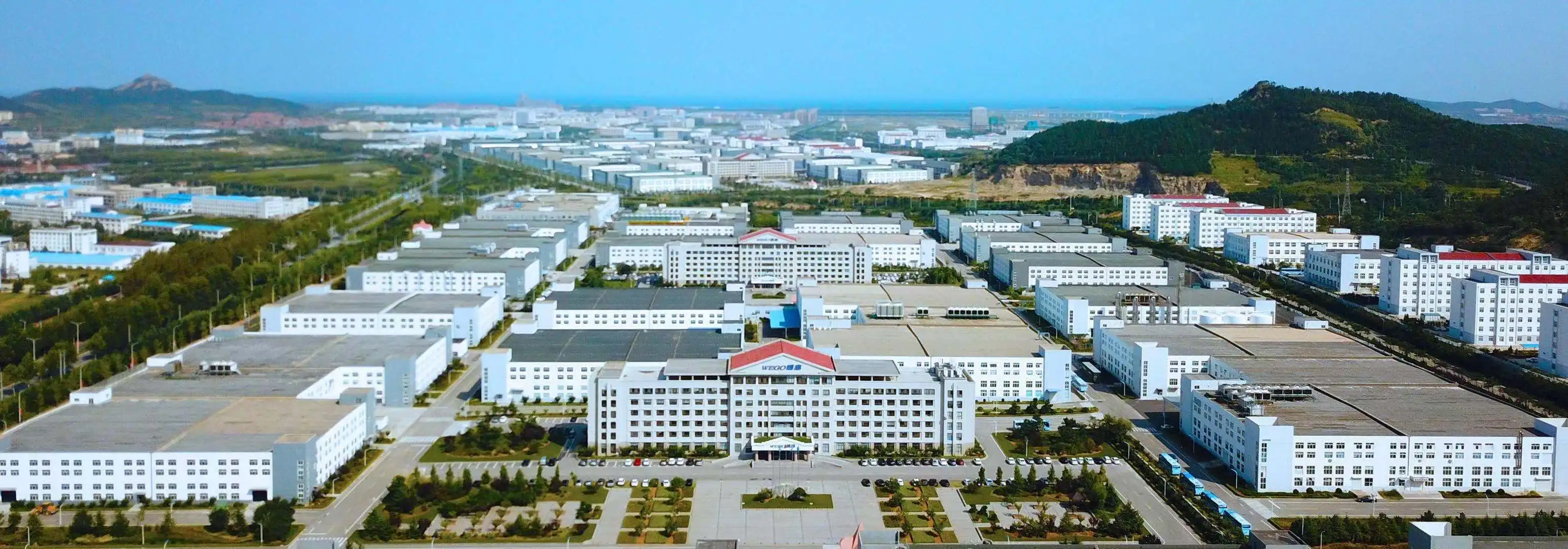 Company Overview - Weigao Medical International Co., Ltd.