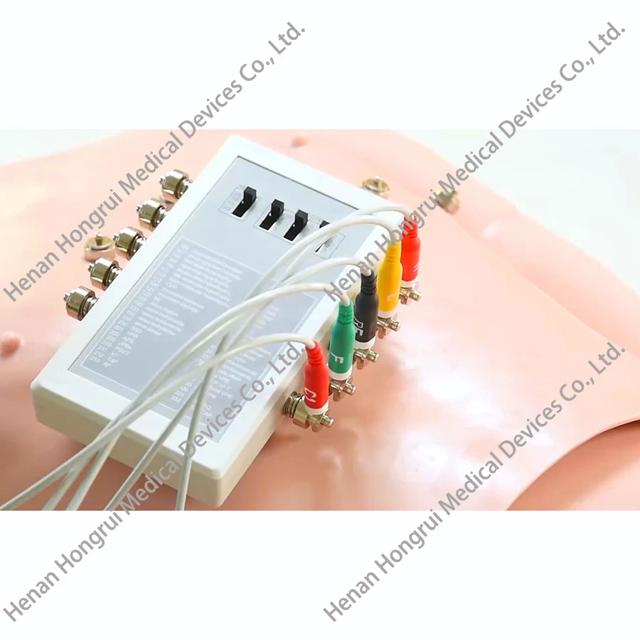 ECG Training Manikin - Simulated Model for Medical Education