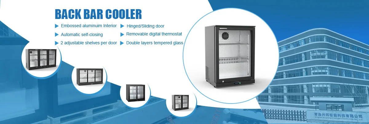 2 Doors Counter Top Beverage Fridge - Back Bar Cooler