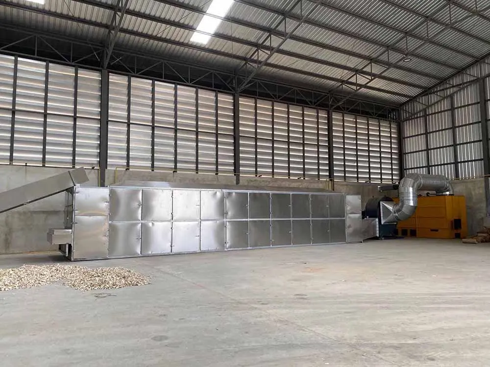 Cocoa Beans Drying Equipment - Efficient Mesh Belt Dryer