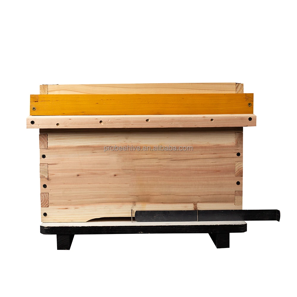 Two Layers Korean Beehive Box For Beekeeping - Buy Two Layers Beehive ...