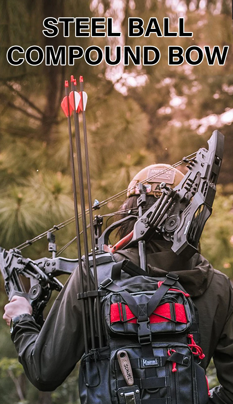 Steel Ball Compound Bow Hunting at Dominic Chumleigh blog