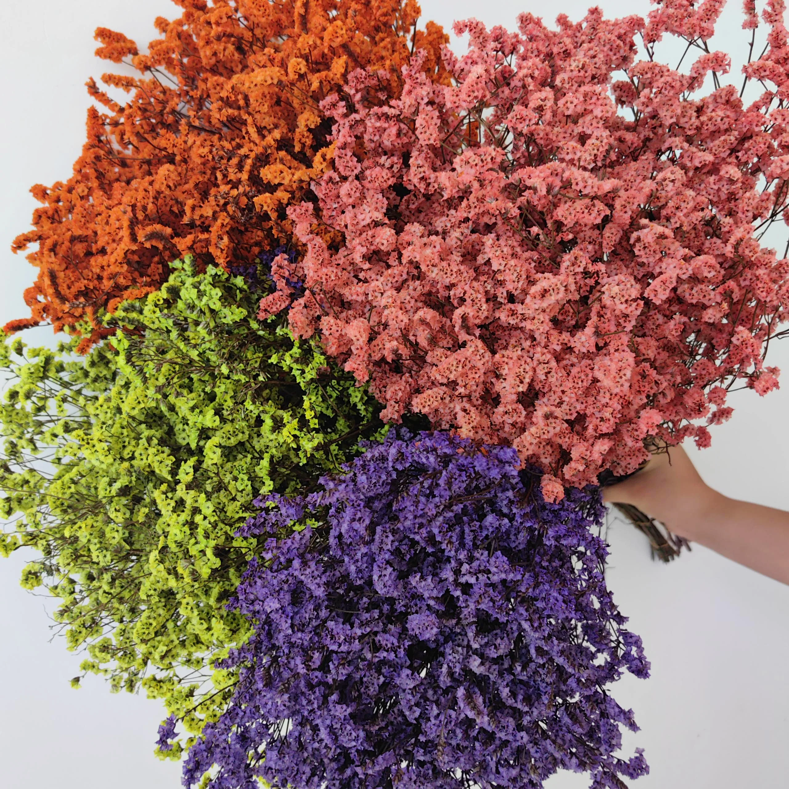 Decorative Flowers Preserved Limonium Dried Flowers Eternal Crystal ...