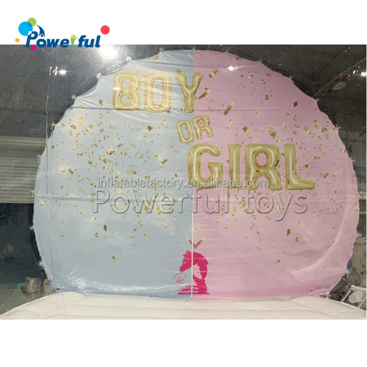 Gender Reveal Game Inflatable Snow Globe - Outdoor Fun