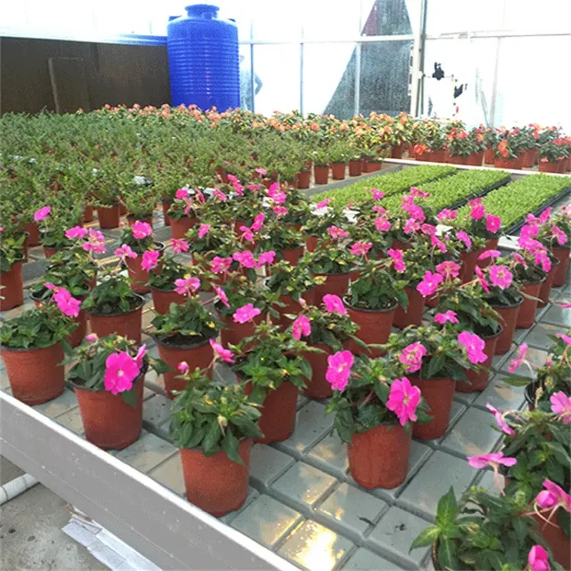 Hydroponic Growing System Flood Grow Table 4*8FT Customized Ebb and ...