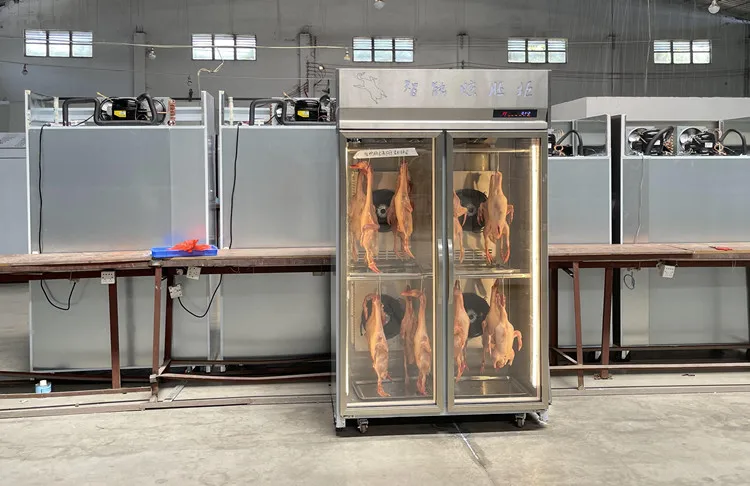 Stainless Steel Dry Ager - Premium Duck Drying Fridge