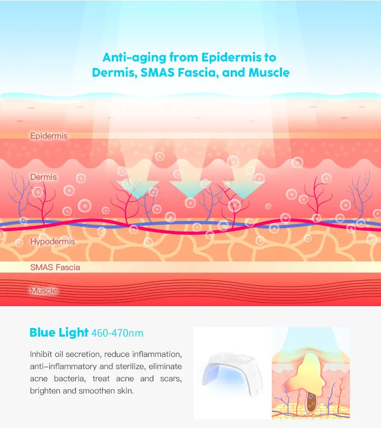 Multifunctional Phototherapy Beauty Instrument Photon Dynamic Therapy ...