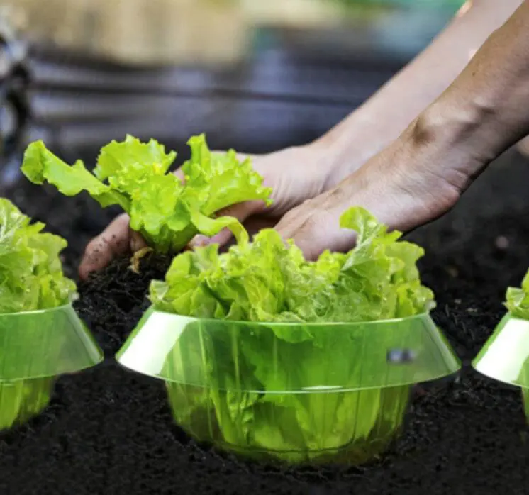 Hot Sale10/20pcs Garden Cloche Dome Reusable Bell Jar Plants Covers ...