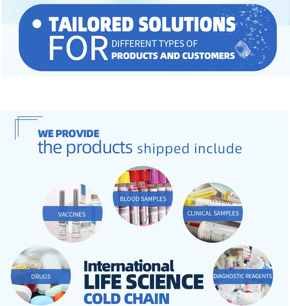 42L Medical Cold Chain Box - Secure Transport of Specimens