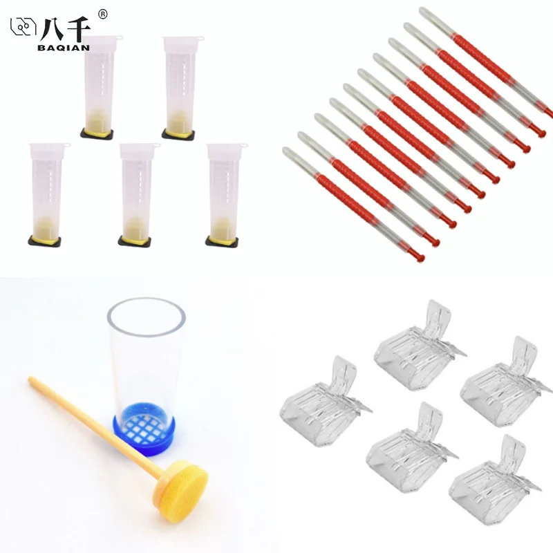 Beekeeping Equipment Plastic Queen Rearing Kit Bee Catcher Clip ...
