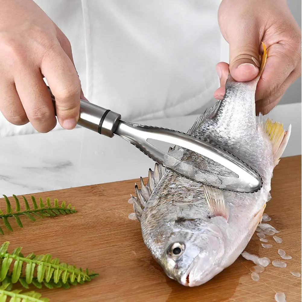 Stainless Steel Fish Scale Planer Scraper Home Manual Scaling Kill Fish Brush Knife Kitchen ...