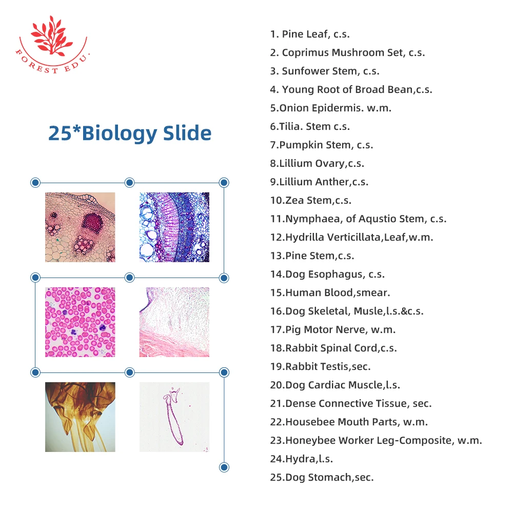 Prepared Slides Individual 25pcs Glass Slides High Quality Specimens ...