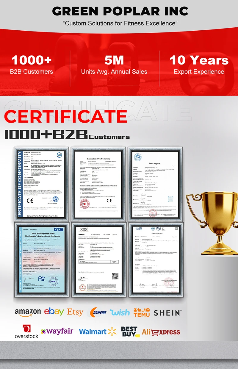 48V 1000W Electric Bicycle Hub Motor Wheel Conversion Kit