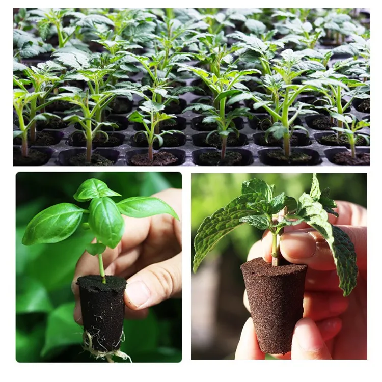 Hydroponic Growth Sponges - Perfect for Seedling Substrate