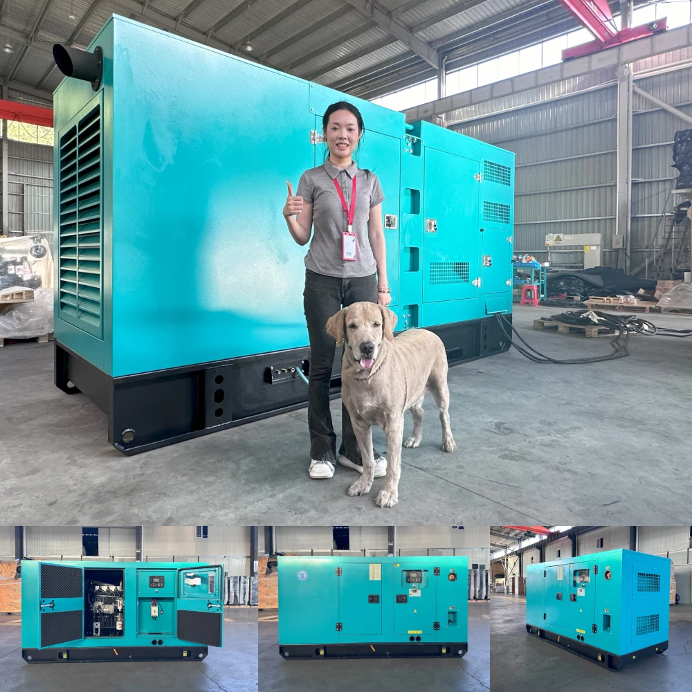 320kw 400kva 300 Kva工业发电机备用发电机组智能交流发电机功率240 Kw 400hp柴油发电机 - Buy 20kva Power Plant Dynamo Standby ...