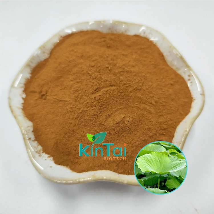 Factory Price Supply Natural Lotus Leaf Extract Nuciferine Powder 1%~10 ...