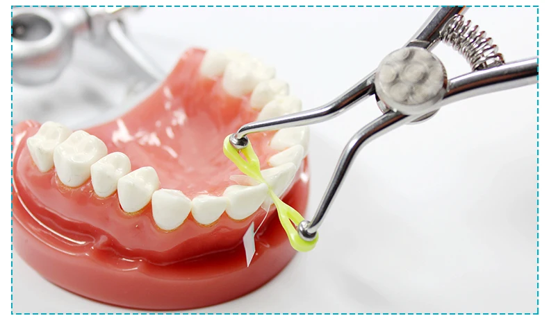 Best Dental Consumables matrix Band Dental Sectional Contoured Matrices ...