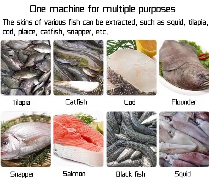 Squid Skin Peeling Machine Fish Peeing Equipment Tilapia Skin Peeler ...