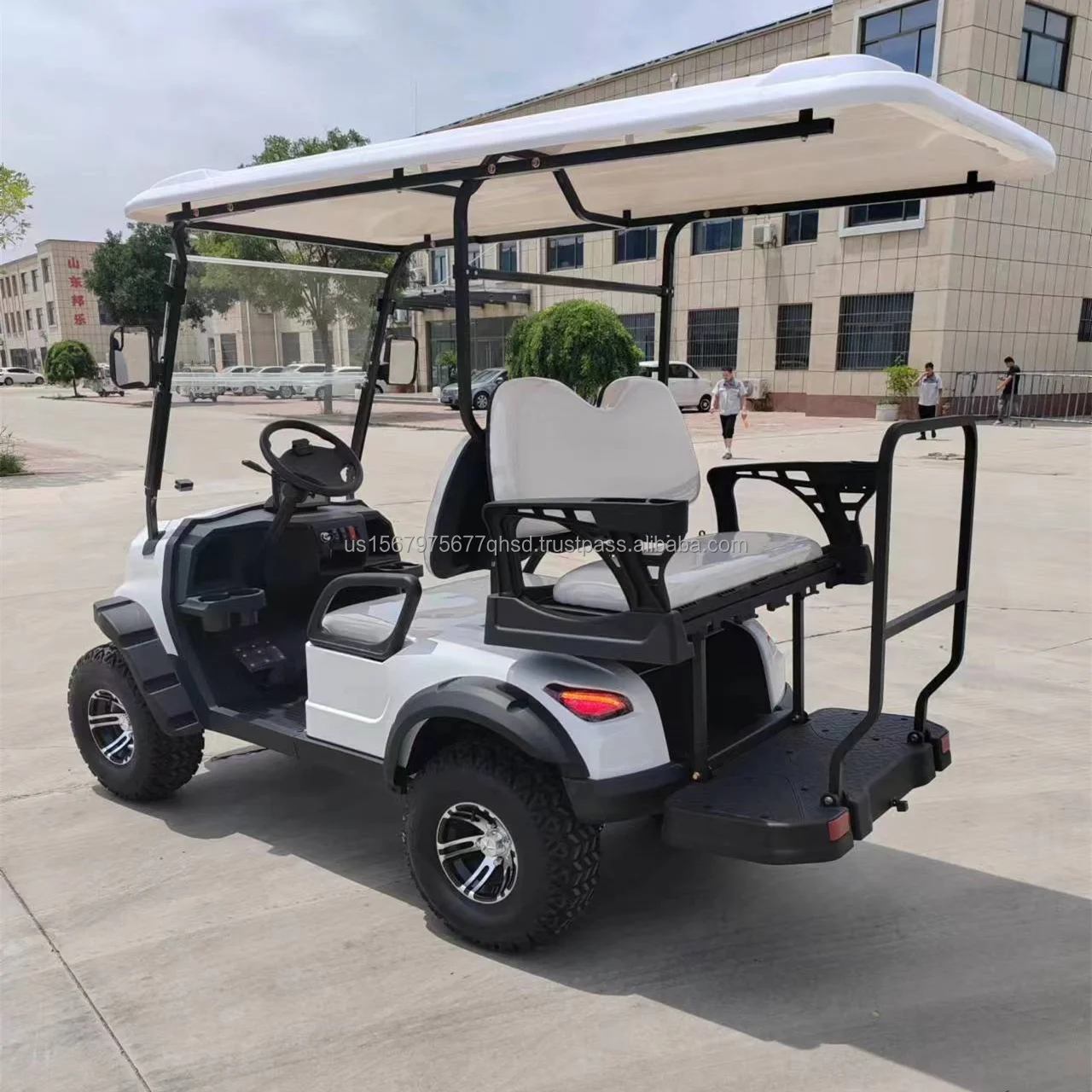 2 Seat Electric Golf Carts Gas Powered Electric Battery Charger Utv ...