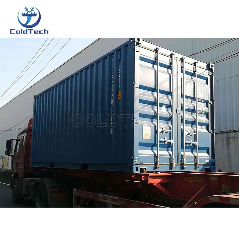 20FT Container Walk in Freezer - Efficient Cold Storage