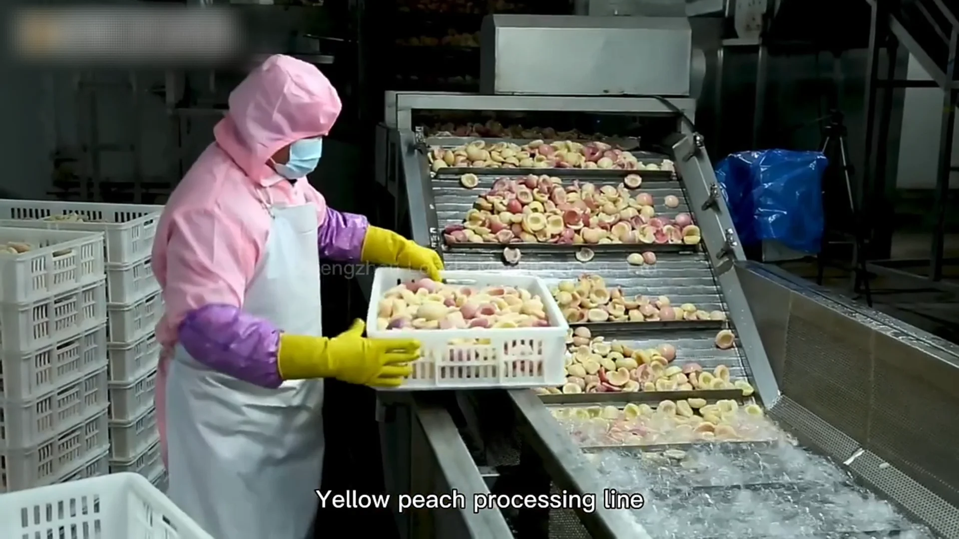 Lonkia Frozen Fruit & Vegetable Processing Production Line Frozen Carrot Cubes Machine - Buy ...