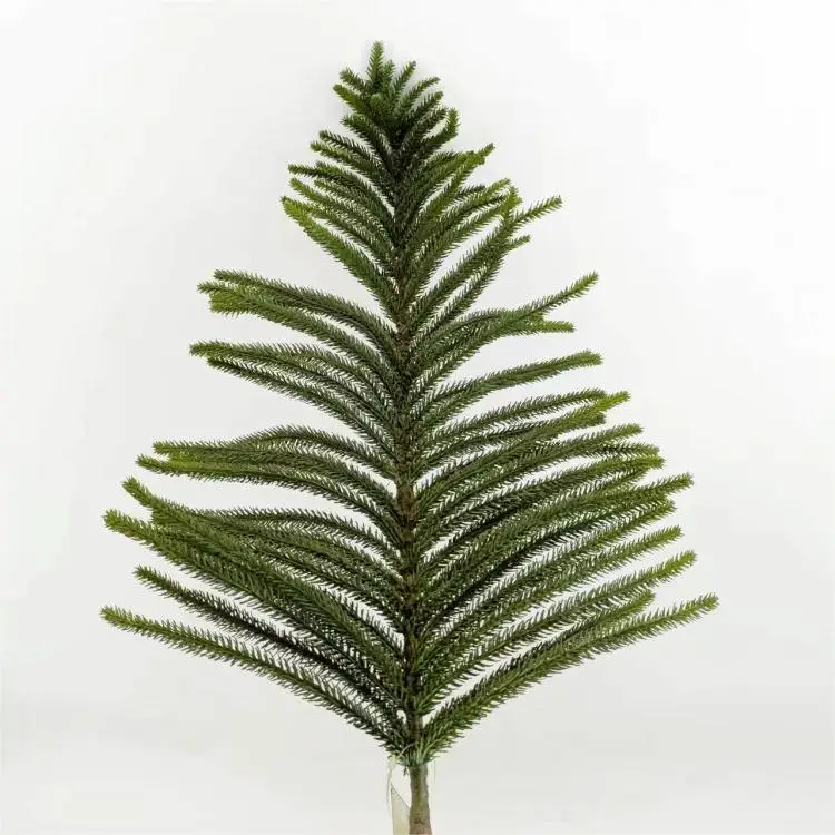 Wholesale a Plastic Artificial Norfolk Pine Stems Touch Soft Green ...