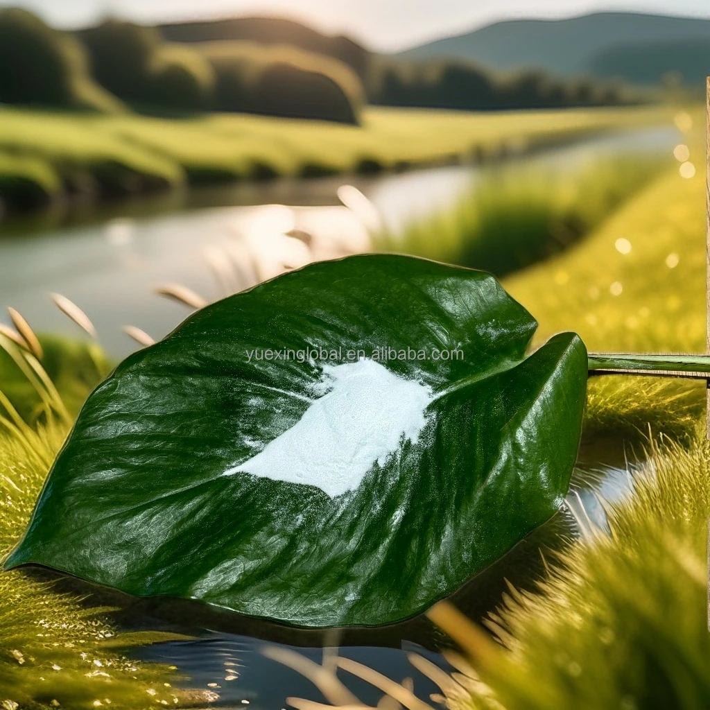 Polyvinyl Alcohol Bp 05s Water Soluble Synthetic Polymers Material ...