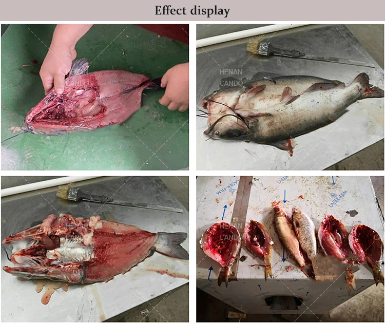 Stainless Steel Fish Killer Small Fish Gutting Machine Fish Cleaning ...