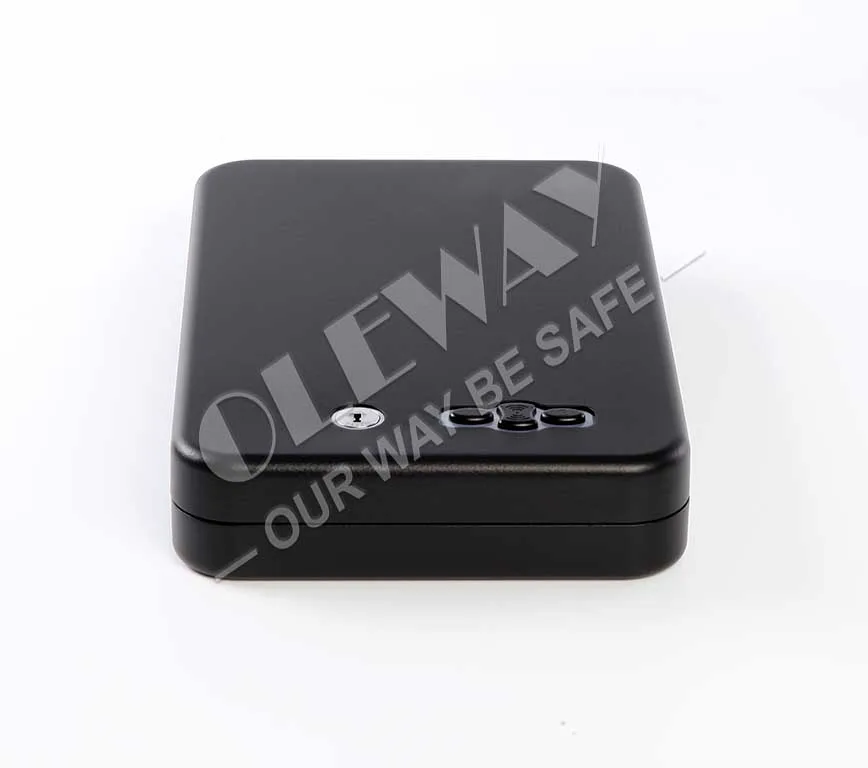 Portable Safe Car Safe California Doj Certified Safe,Smart Safe Mini ...