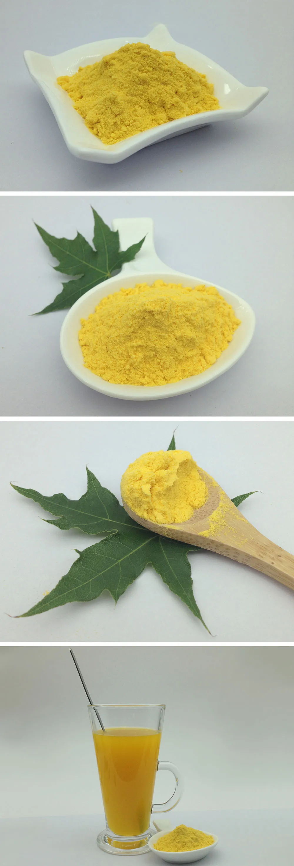 Wholesale Ready Stock Water Soluble Organic Natural Mango Juice Powder ...