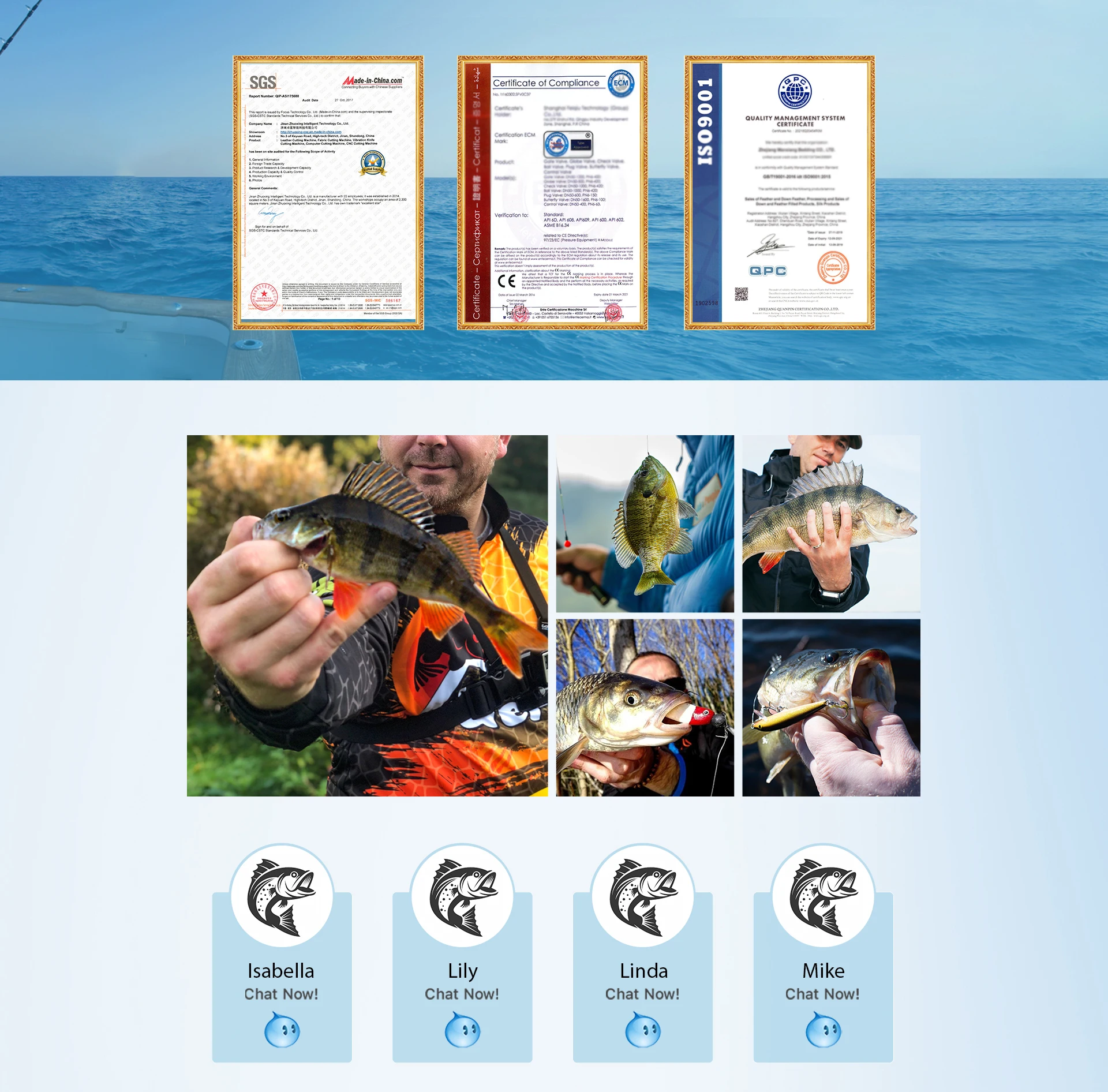 Company Overview - Weihai Tianhong Fishing Tackle Co., Ltd.