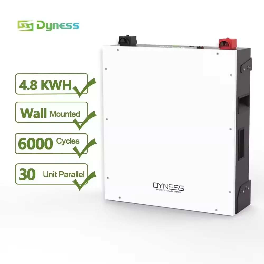 High Efficiency Dyness Lithium Ion Battery 5kwh with BMS stackable ...