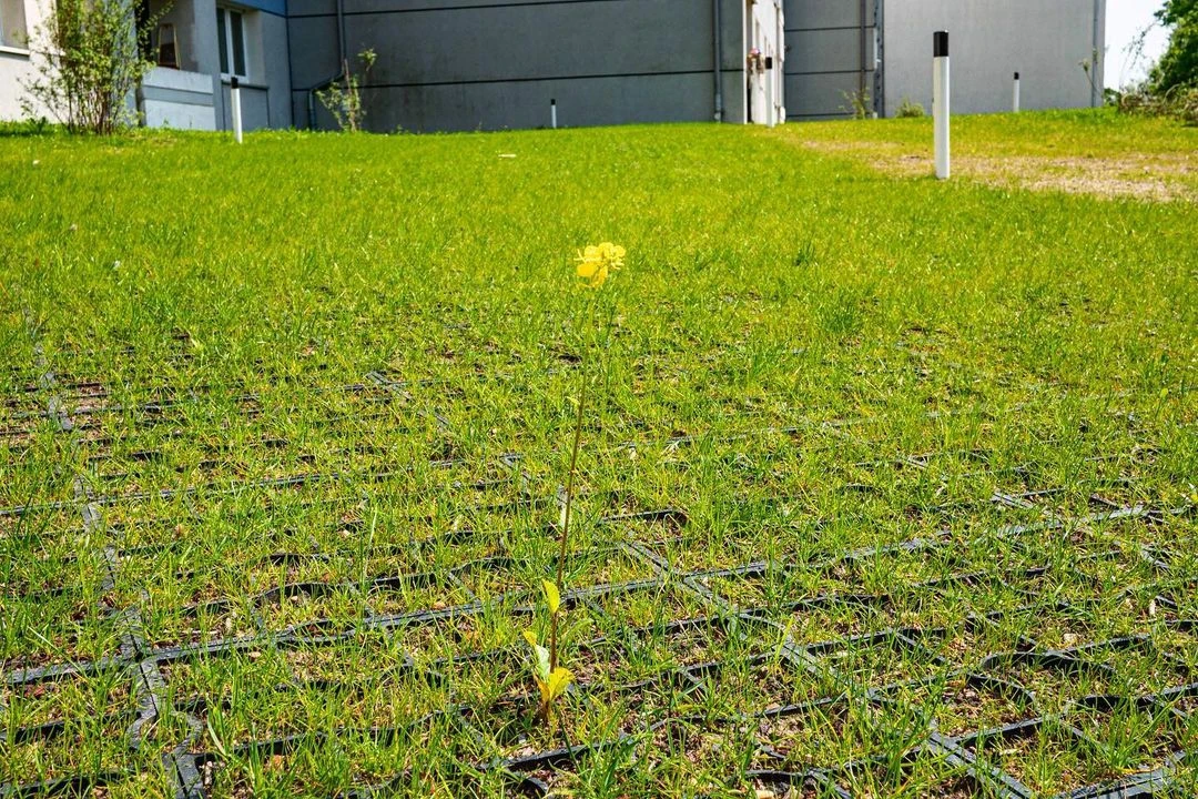 Moonbay Drainage Reinforcement Grid - Durable & Easy Set